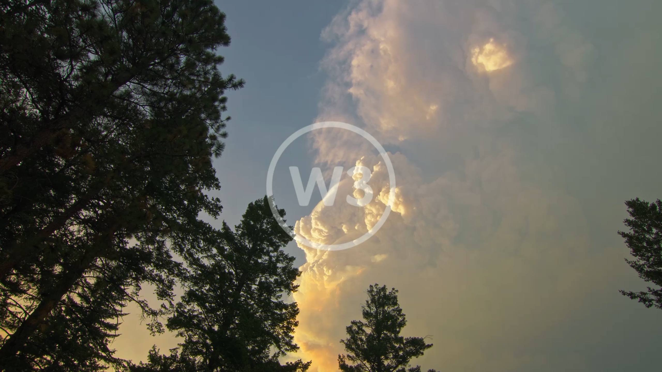 The White Rock Lake Forest Fire Sends Billowing Smoke High Above The ...